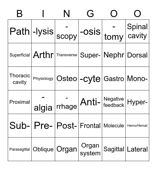 Anatomy Unit 1 Review Bingo Card