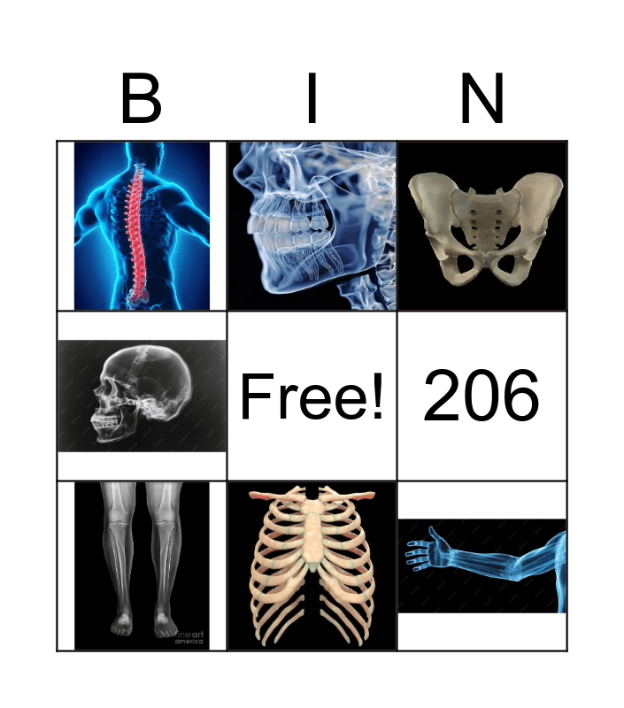 skeleton Bingo Card