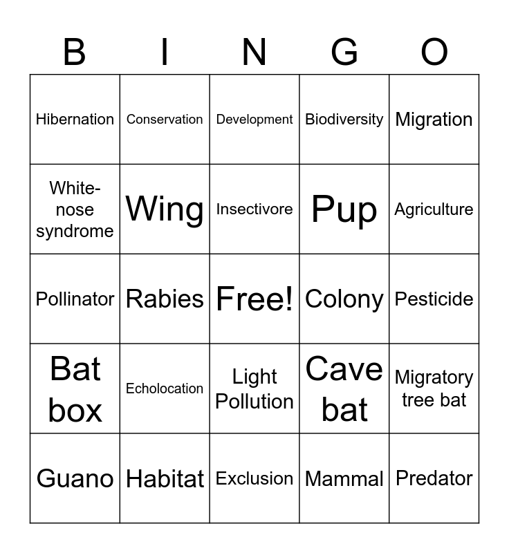 BAT BINGO Card