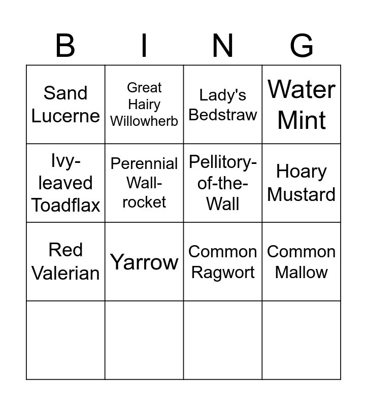 Wildflower Bingo Card
