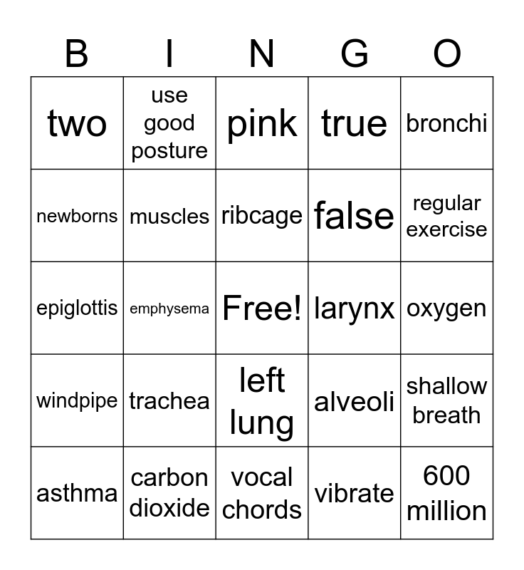 Respiratory System Bingo Card