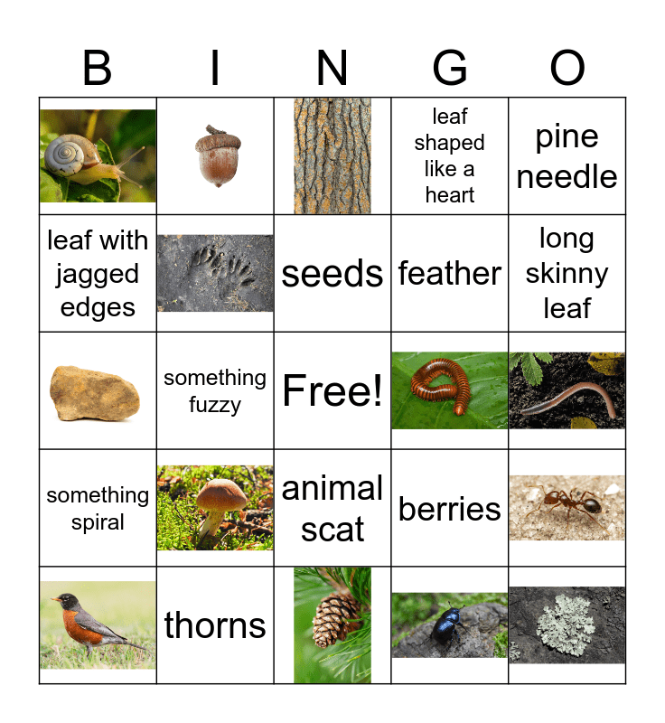 Nature Bingo Card