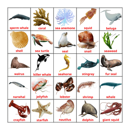 SEA ANIMALS Bingo Card
