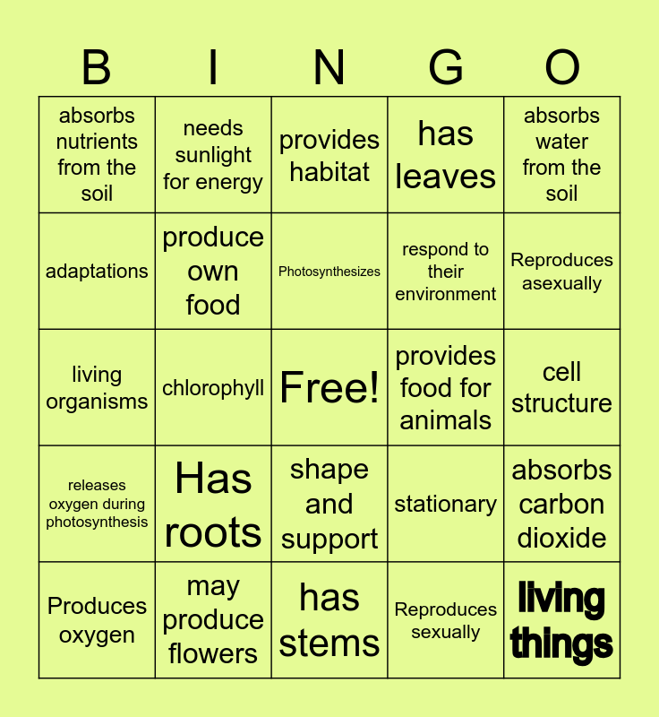 plant characteristics bingo Card