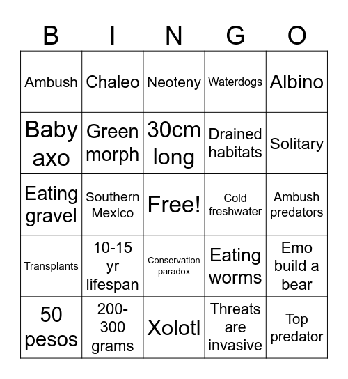 Axolotl Bingo Card