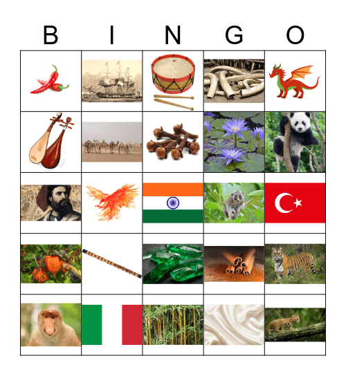 MARCO POLO Bingo Card