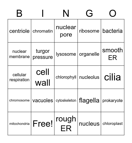 Cell Organelle Bingo Card