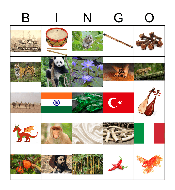 MARCO POLO Bingo Card