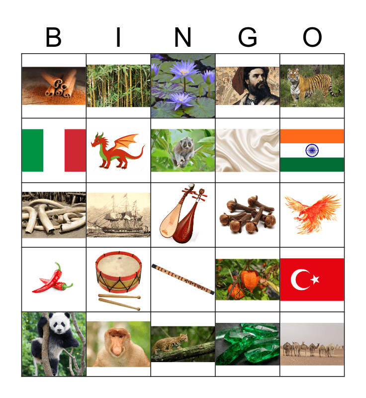 MARCO POLO Bingo Card