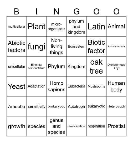 Classification Unit 1 Bingo Card