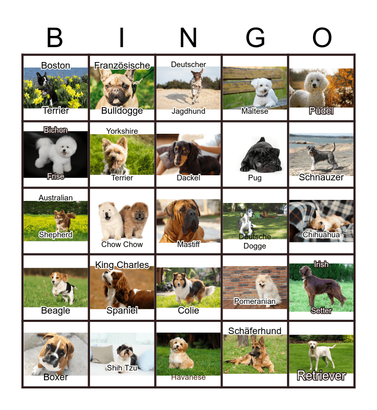 Dogs Bingo Card