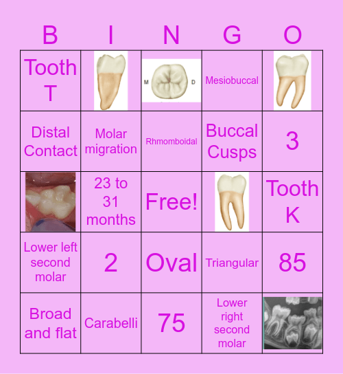 TOOTH K & T Bingo Card