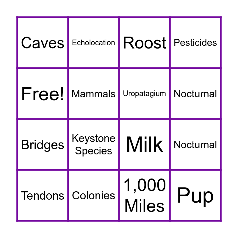 Bat Bingo Card