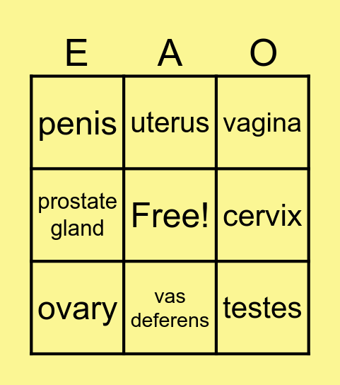 PARTS OF MALE AND FEMALE REPRODUCTIVE SYSTEM Bingo Card