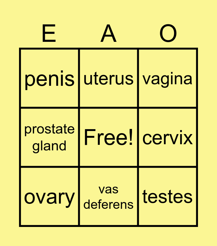 PARTS OF MALE AND FEMALE REPRODUCTIVE SYSTEM Bingo Card