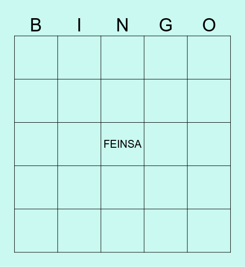BINGO FEINSA Bingo Card