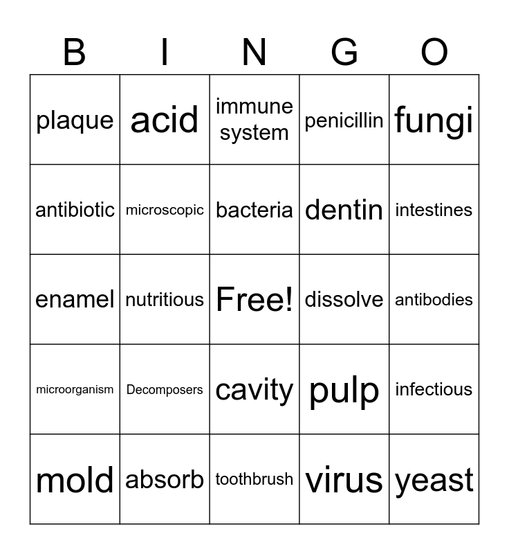Big Idea 2 vocabulary Bingo Card
