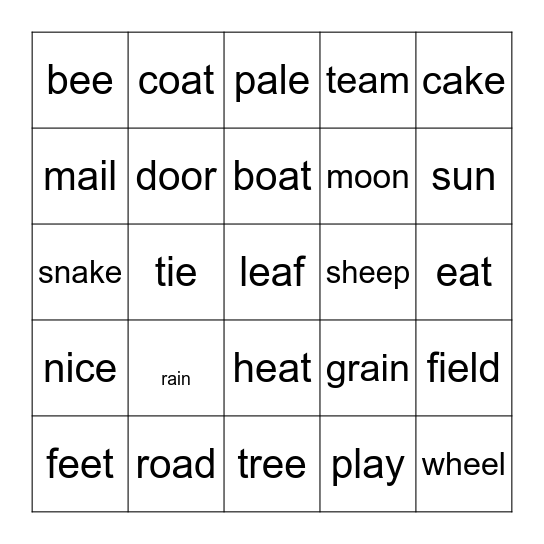 Long Vowel Digraphs Bingo Card