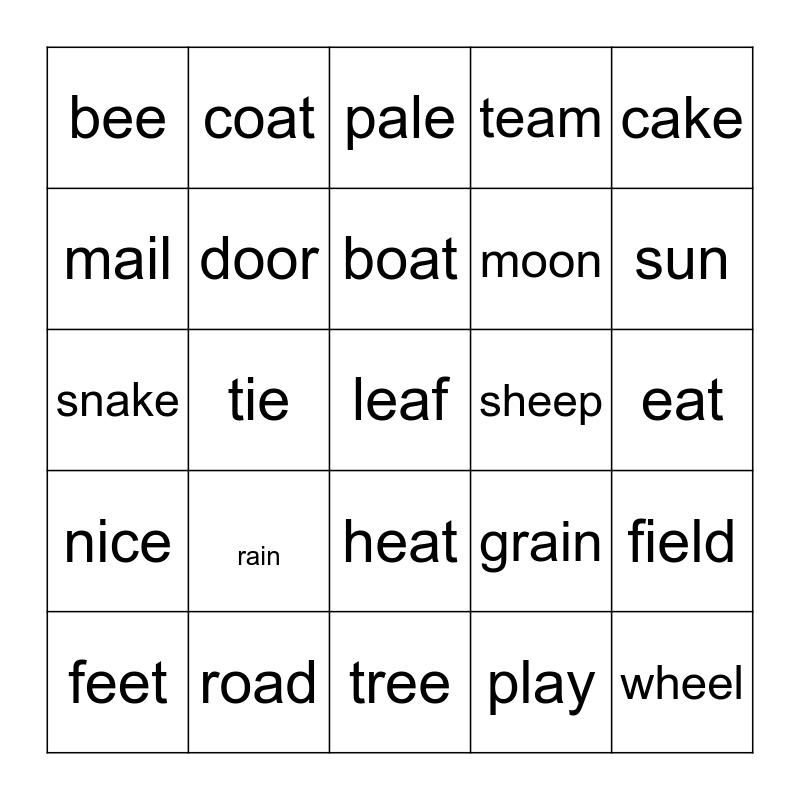 Long Vowel Digraphs Bingo Card