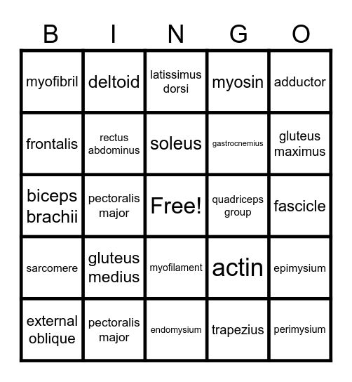 Muscles Bingo Card