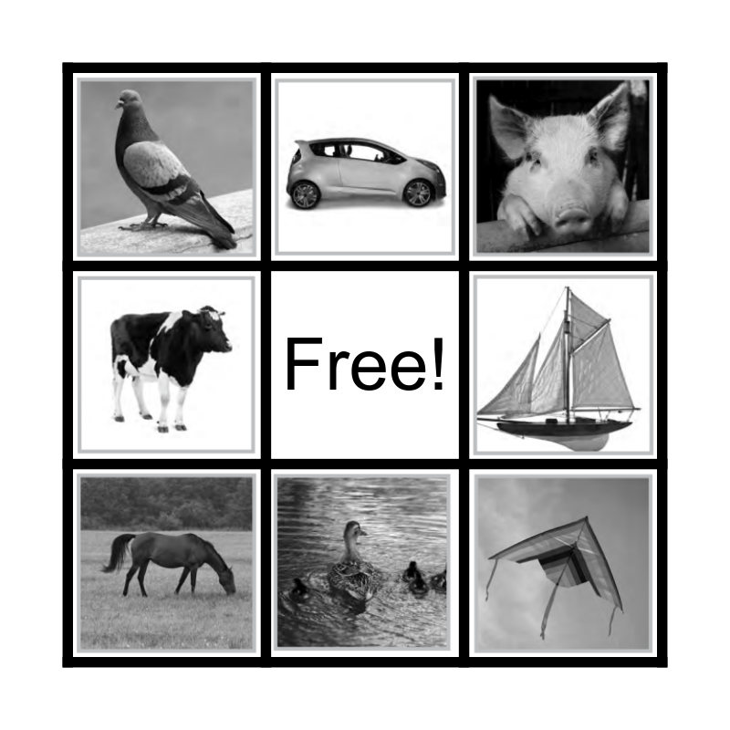 Find My Word Bingo Card