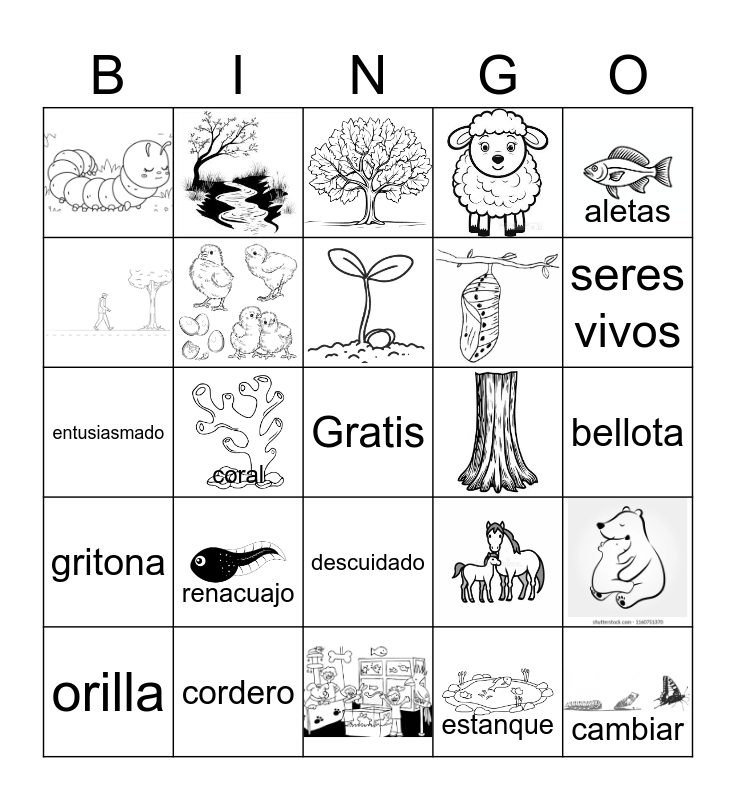 Adelante Unidad 1 Vocabulario Bingo Card
