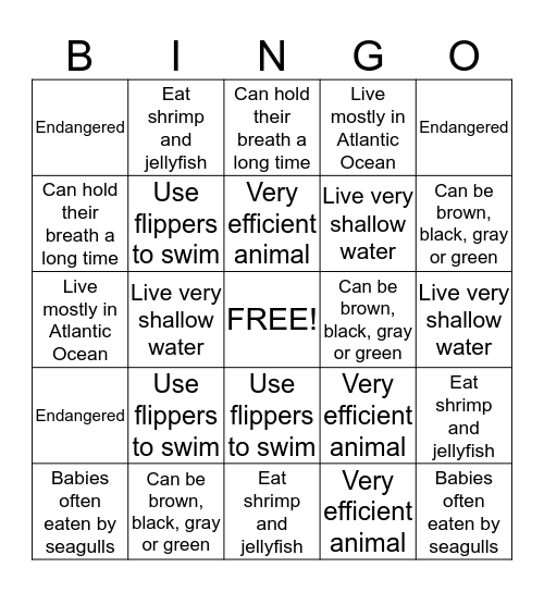 Sea Turtles Bingo Card