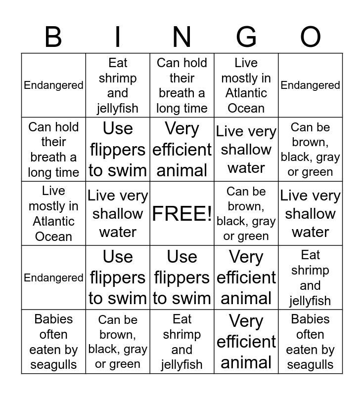 Sea Turtles Bingo Card