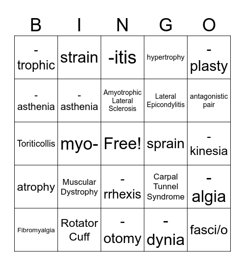 Muscular System BINGO Card