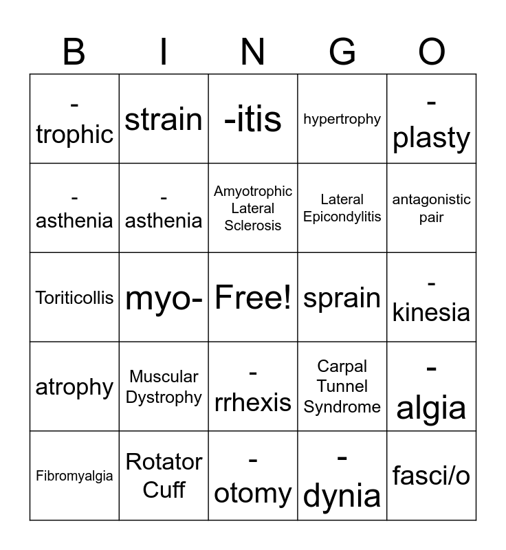 Muscular System BINGO Card