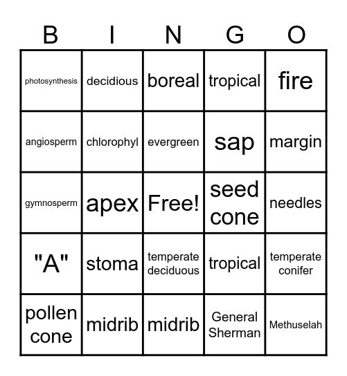 Chapter 10 Bingo Card