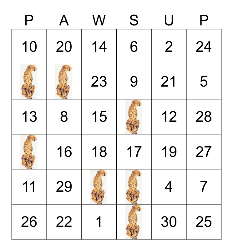 Cheetah Survival Bingo Card