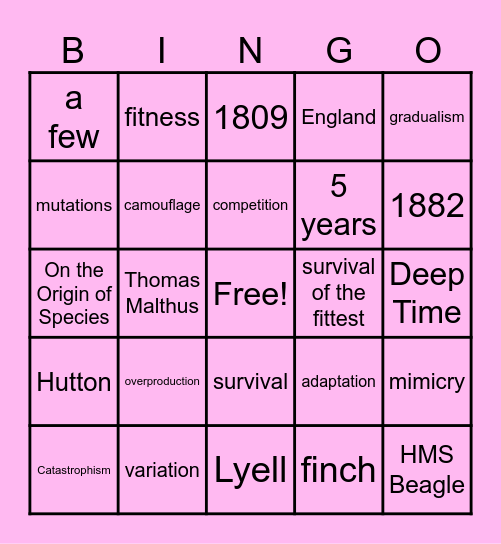 Evolution BINGO 2 Bingo Card