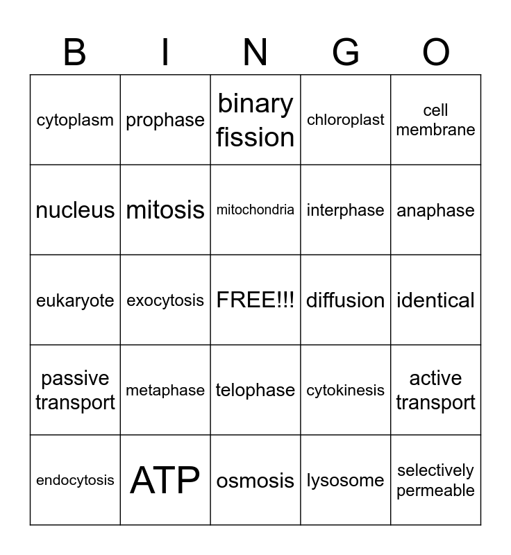 Unit 2: Structure and Function of Cells Bingo Card