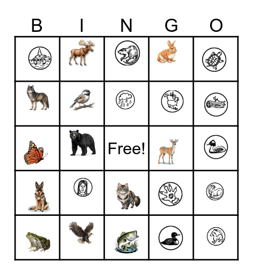 Turtle Island BINGO & Animals Bingo Card