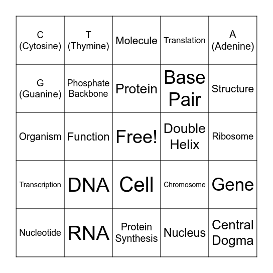 Genetics (DNA/RNA/Proteins) Vocabulary Bingo Card