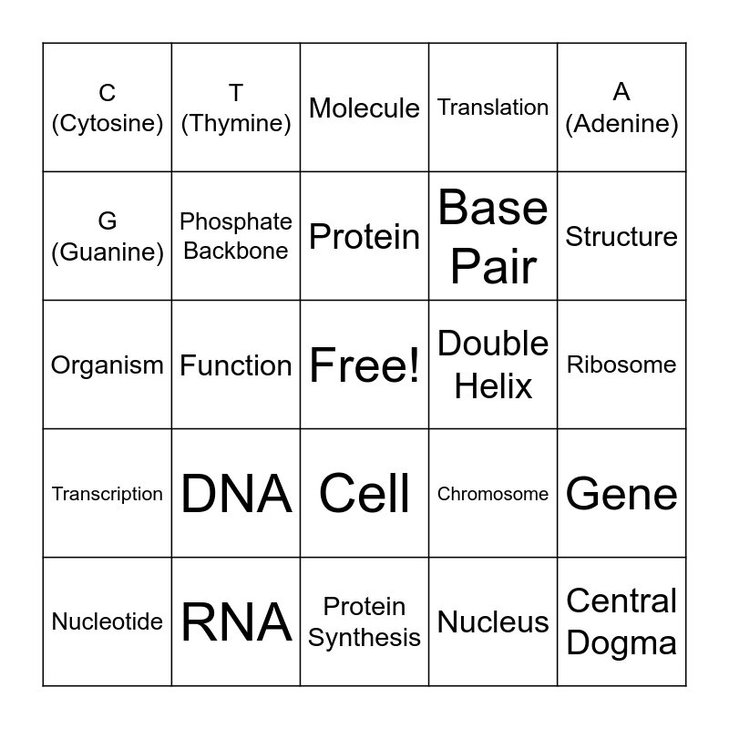 Genetics (DNA/RNA/Proteins) Vocabulary Bingo Card
