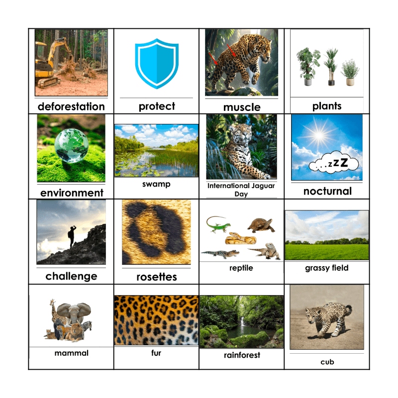 TeachTown International Jaguar Day 4x4 Bingo Card