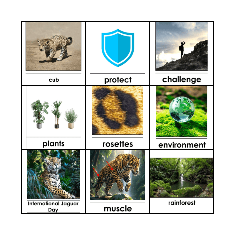 TeachTown International Jaguar Day 3x3 Bingo Card