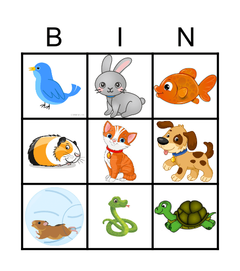 Les animaux de compagnie Bingo Card