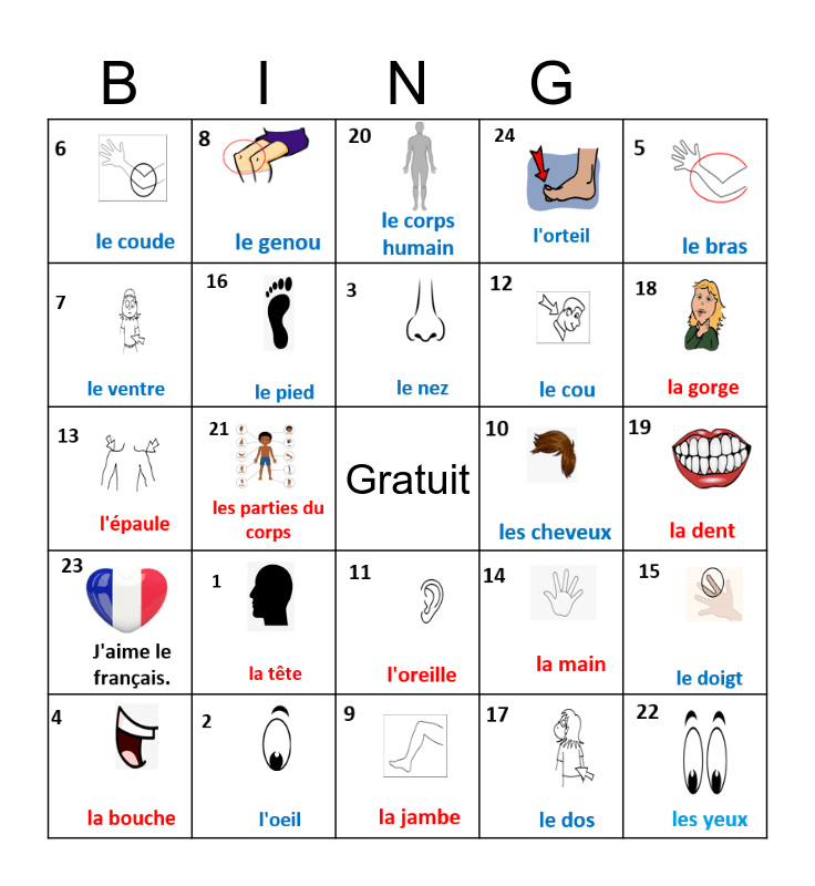 Le corps humain 5x5 Bingo Card
