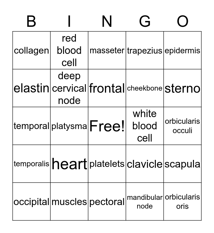 Anatomy and physiology Bingo Card