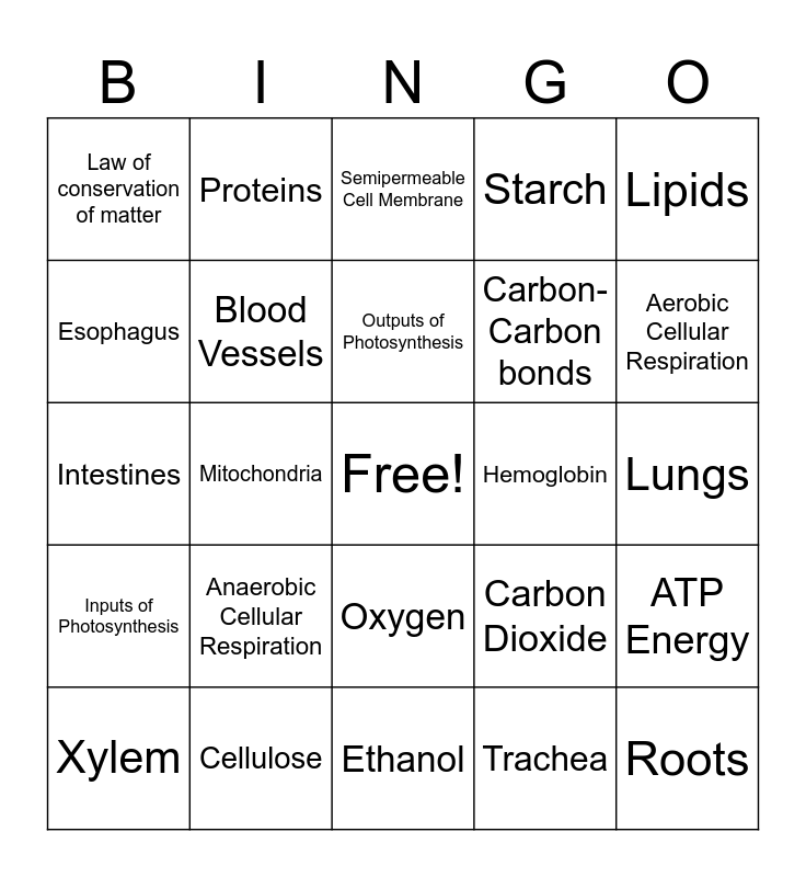Unit 2 Review Bingo Card
