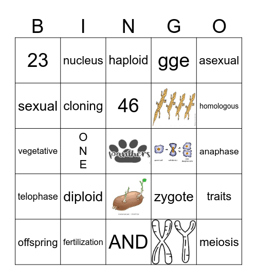REPRODUCTION Bingo Card