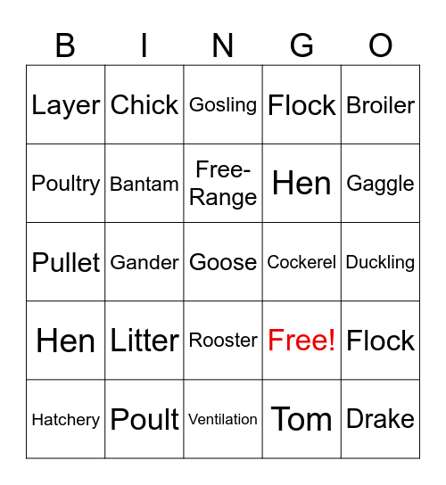 The Poultry Industry Bingo Card