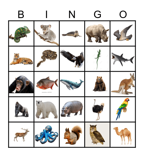 WILD ANIMALS Bingo Card