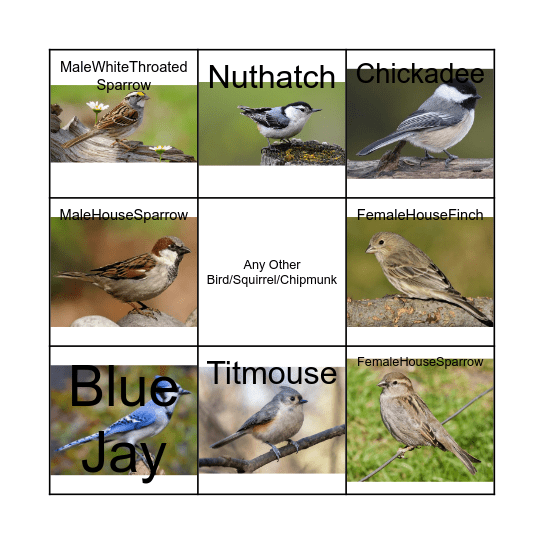 BIRD BINGO Card