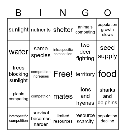 Competition Bingo Card