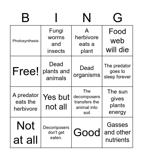 Decomposers Bingo Card