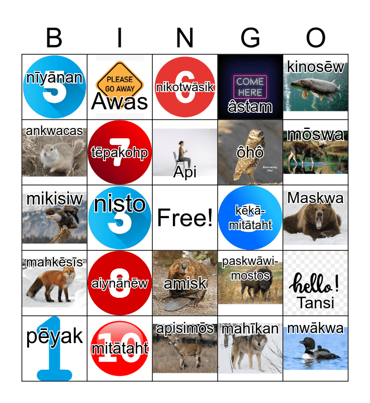 Cree Bingo - Animals and Numbers Bingo Card